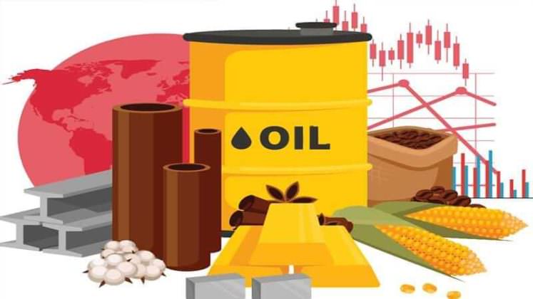 Commodity Hedging: Lessons Learned by Early Adopters of New Hedge ...