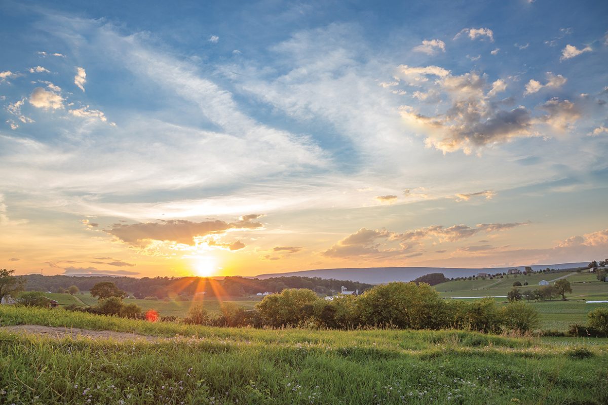 API Study Determines Cross-Border Infrastructure is Key Component ...
